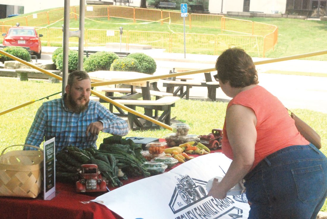 Arts Collaborative celebrates at Bicentennial Park | News, Sports, Jobs ...